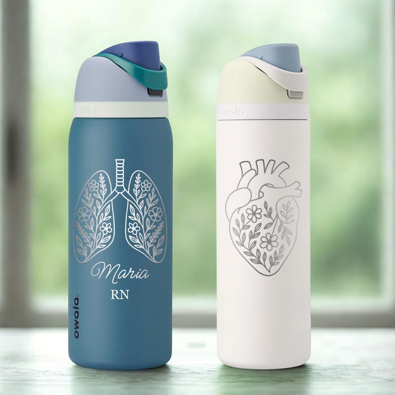 Brain Anatomy Water Bottle - Etsy UK