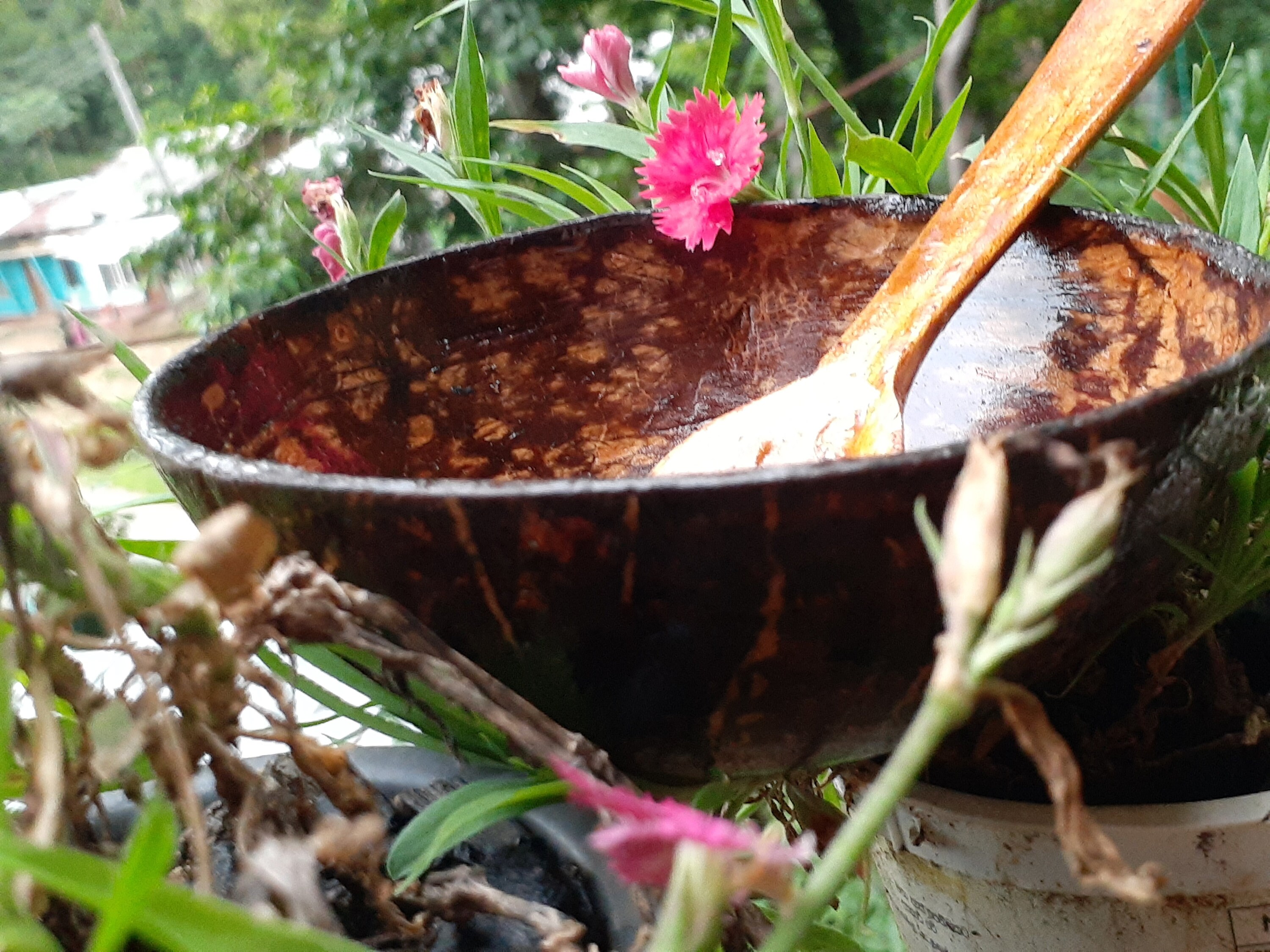 Coconut Shell Bowl & Spoon Set Soup, Food, Rice Handcraft Kitchen ...