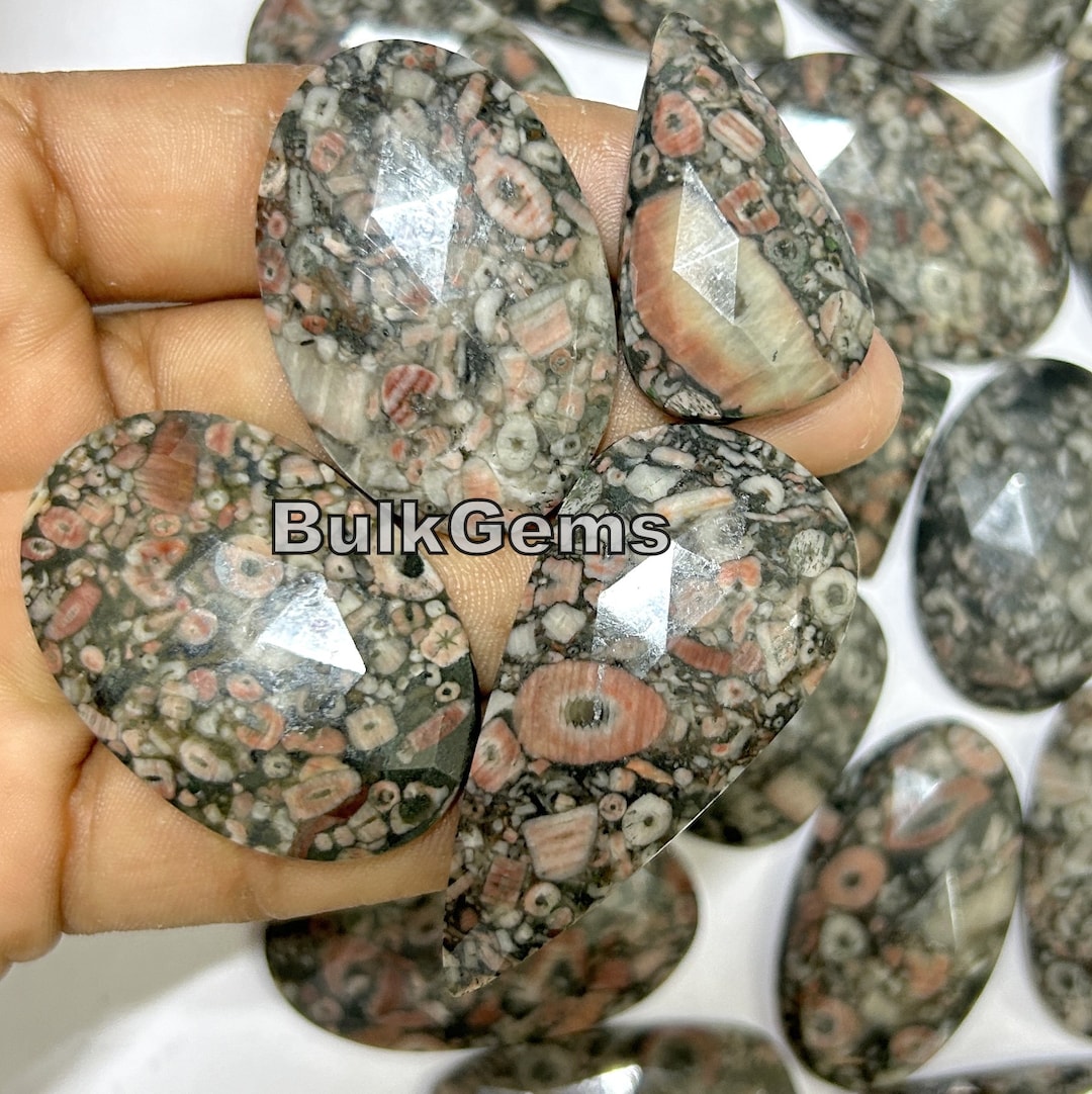 Faceted Crinoid Fossil Mix Lot - Wholesale Price Crinoid Fossil ...