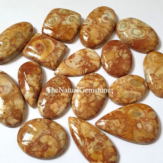 Bird Eye Jasper Wholesale Lot of Loose Bird Eye Jasper - Etsy