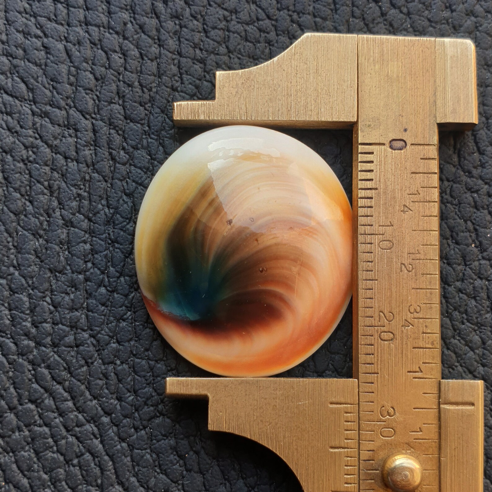 Exquisite Shiva Eye Shell Cabochon Natural Shiva Eye Shell | Etsy