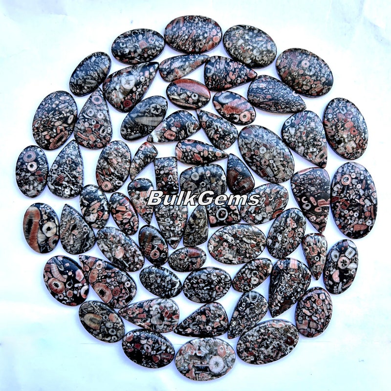 Fossil Beads - Etsy