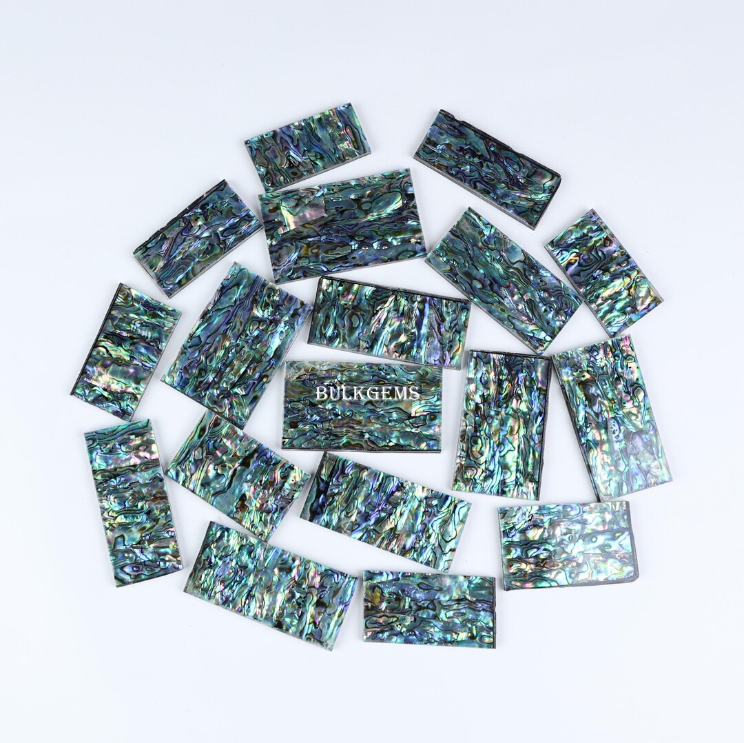 Abalone Shell Slab Lot ! Wholesale Price ! Rainbow Fire Abalone Shell ...