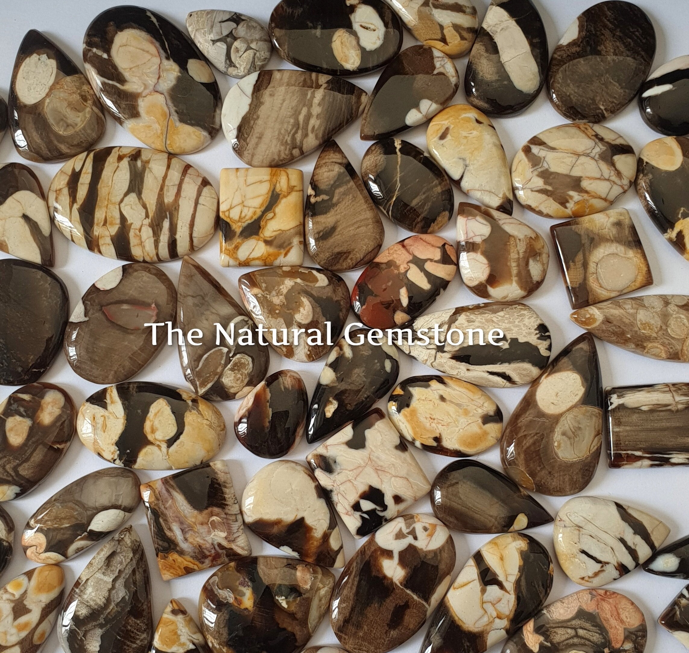 Peanut Wood Stone Wholesale Peanut Wood Stone Cabochon Lot - Etsy