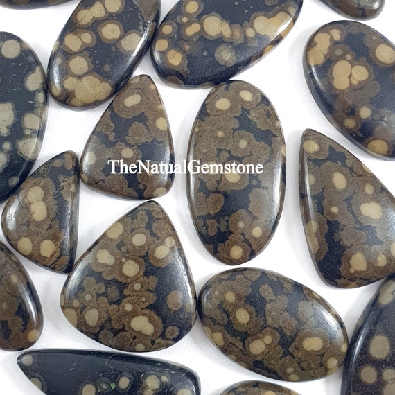 Variolite Stone Wholesale Lot of Loose Variolite Cabochons - Etsy