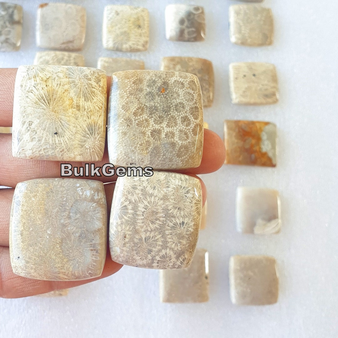 Fossil Coral Square Stone! Wholesale Fossil Coral Cabochon Lot - Fossil ...