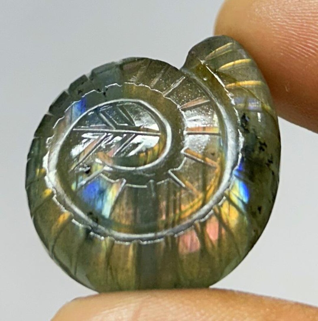 Carved Shell Shape Labradorite - Shell Shaped Carved Labradorite ...