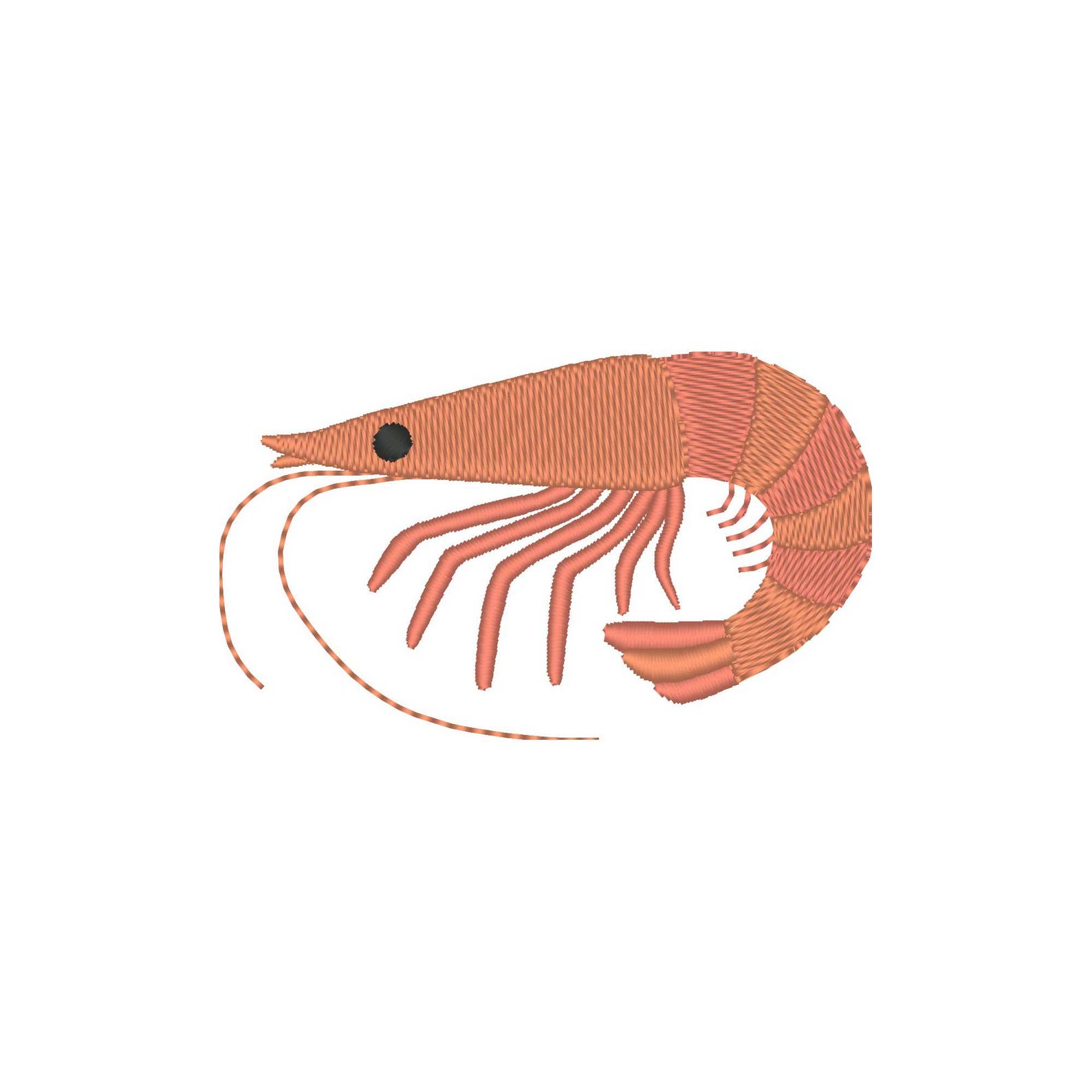 Shrimp Embroidery Design: Seafood Embroidery File (digital Download) - Etsy