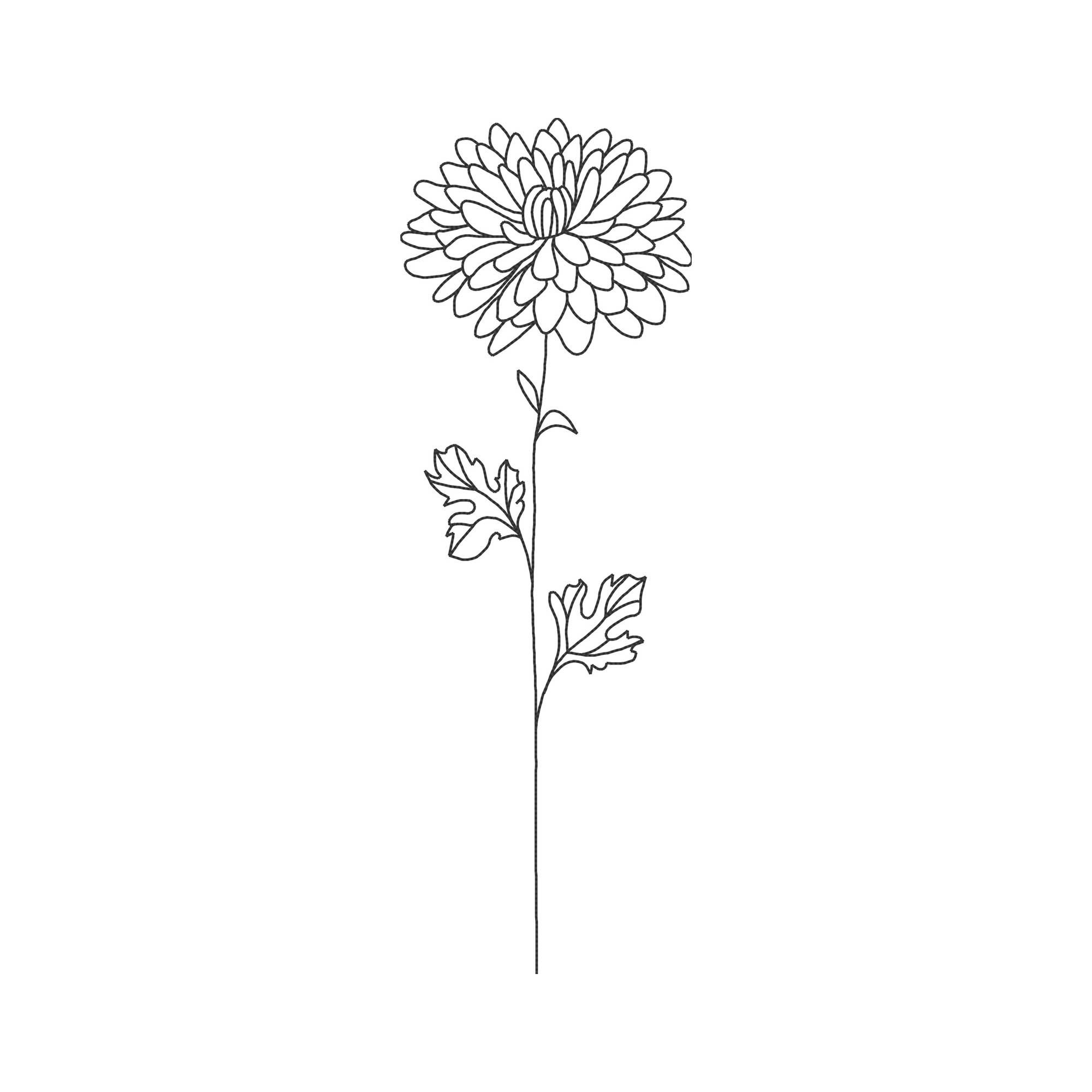 Chrysanthemum Clip Art Black White