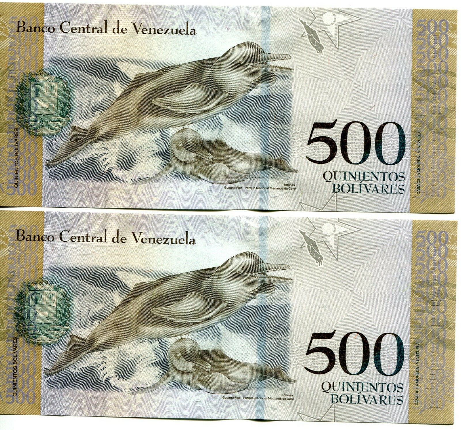 Venezuela Banknote 500 Bolivares Banknote From Venezuela Paper Money ...