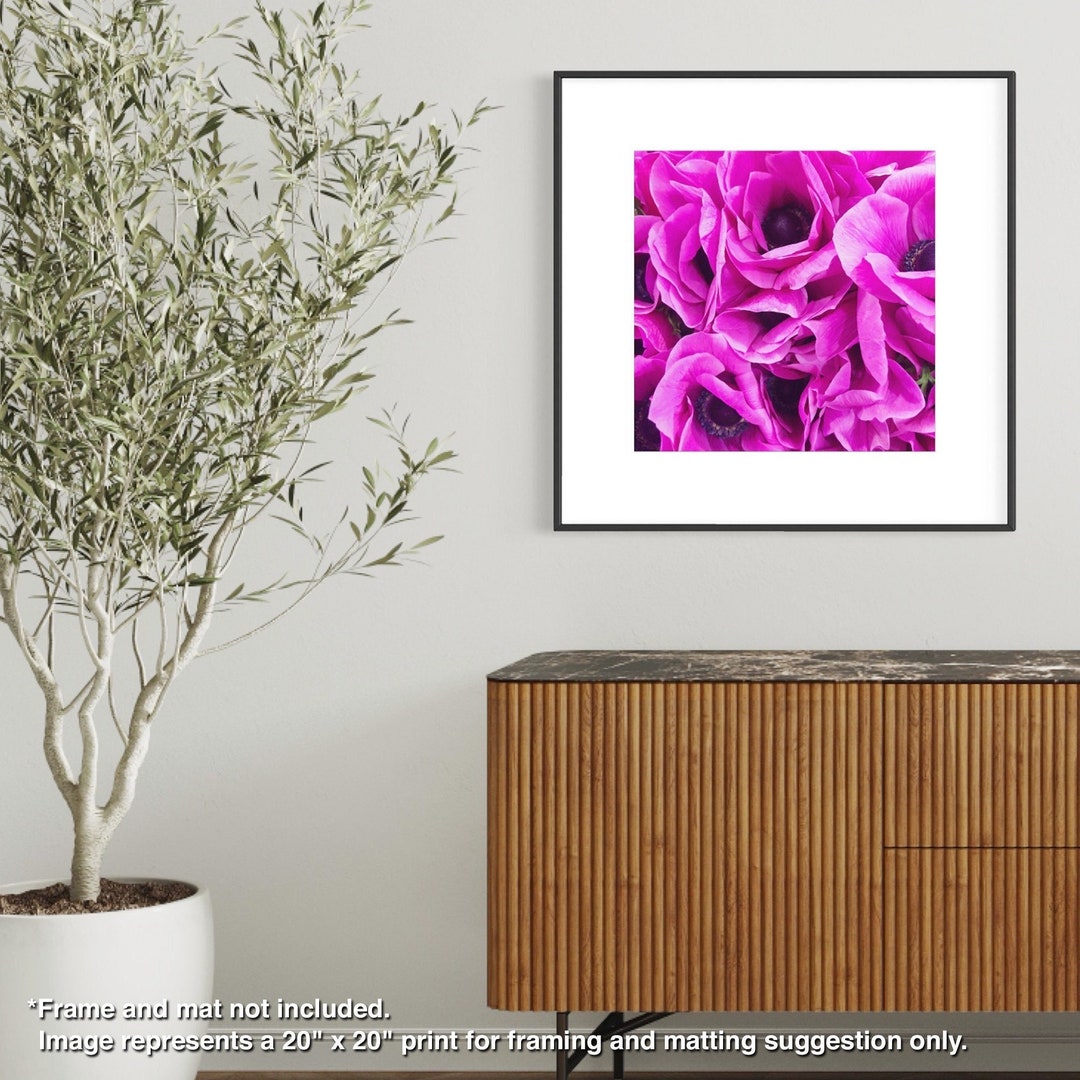 Deep Pink Poppy Zen Flower-reiki Healing Fine Art Photography Floral ...