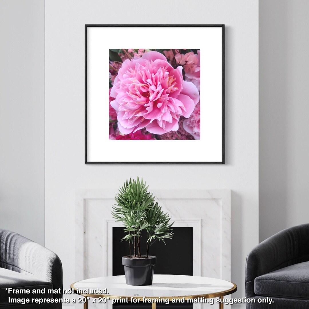 Pink Japanese Tree Peony Zen Flower-Reiki Healing Fine Art Photography ...