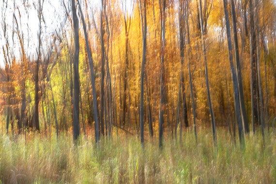 Photography Print Fall Colors Print Abstract Fall Print | Etsy