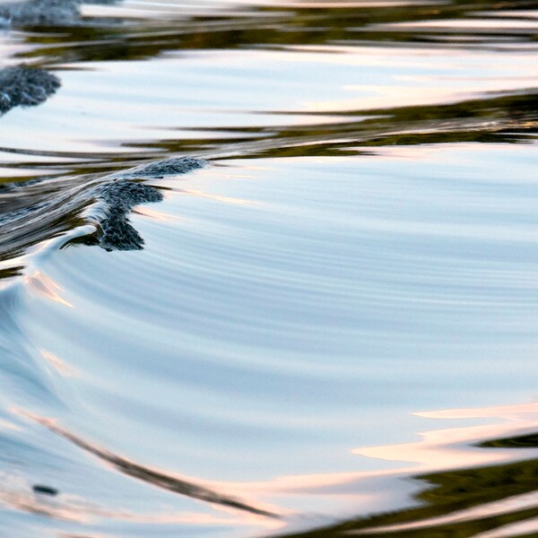 Lake Water Abstract Photo - Etsy
