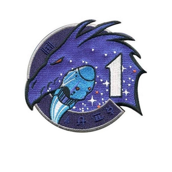 Patch Spacex Crew 11 - Etsy