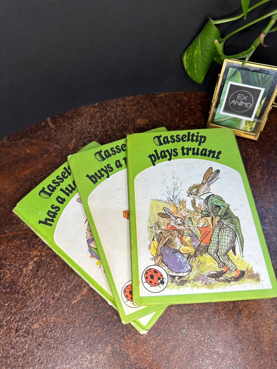 Vintage Ladybird Books, Set of 3 Books, Tasseltip, Series 497, 1975 - Etsy