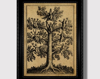 Tree of Life, Infographic, Correspondence Chart, Celtic, Pagan, Druid ...