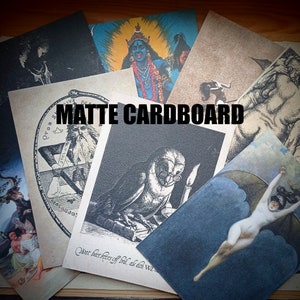 Eugerres Plumieri or Striped Mojarra X-ray. Science Art Print. - Etsy