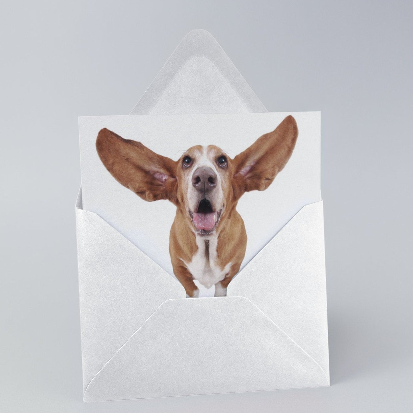 Basset Hound Card Basset Big Ears Card - Etsy