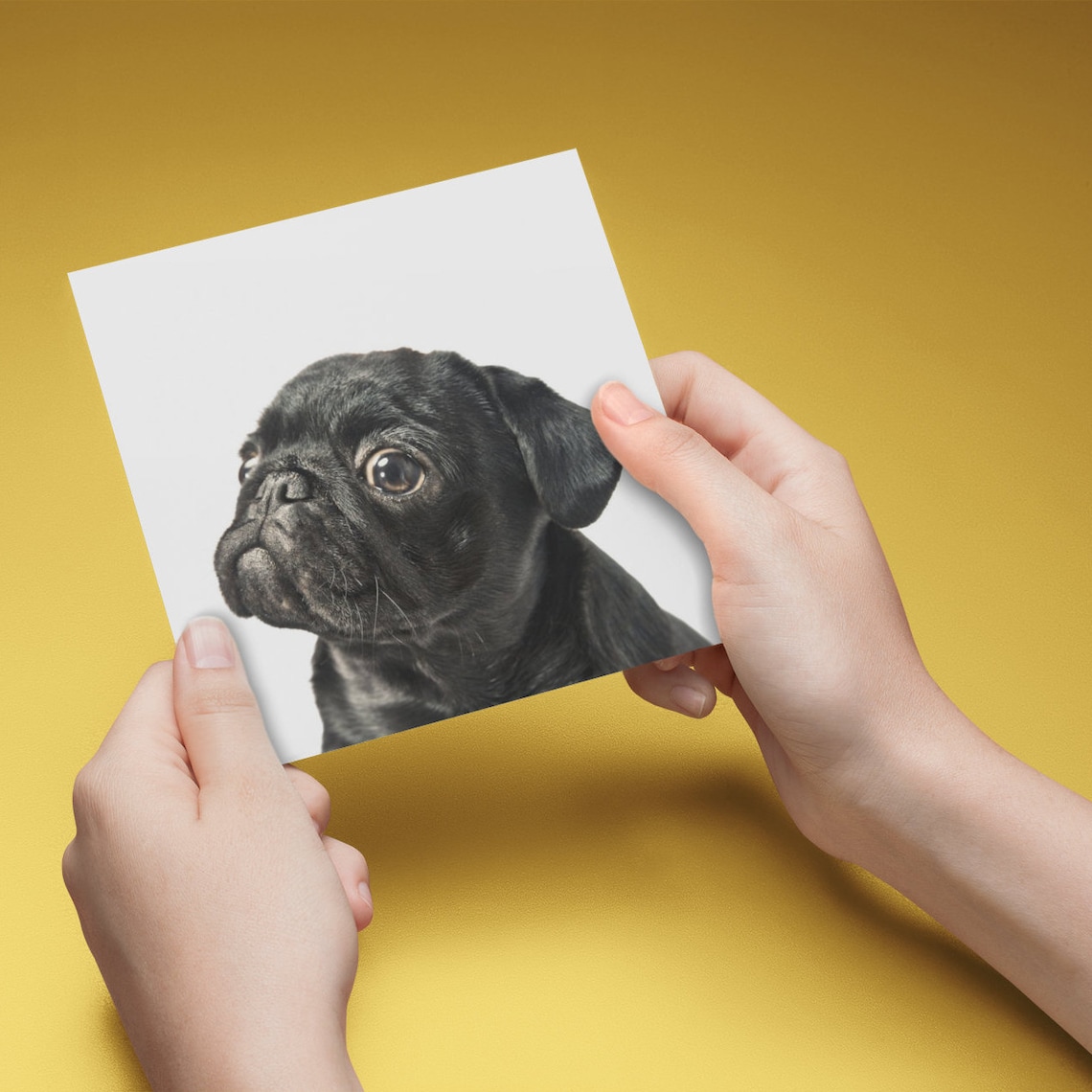 Black Pug Card Pug Birthday Card - Etsy