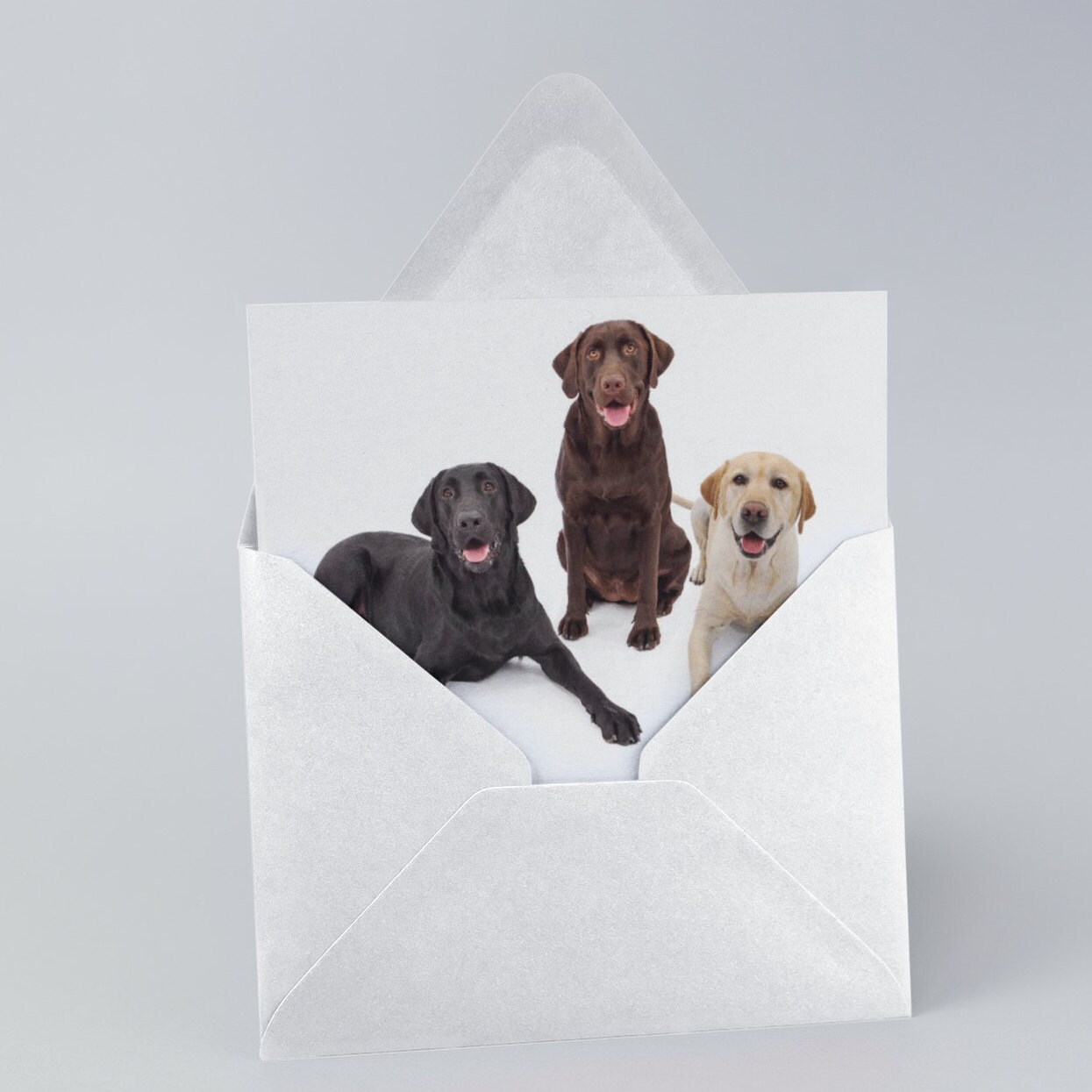 Labrador Birthday Card, 3 Labradors Greeting Card, Black Lab, Golden ...