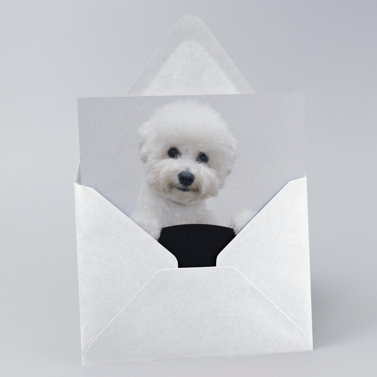 Bichon Frise Card - Etsy