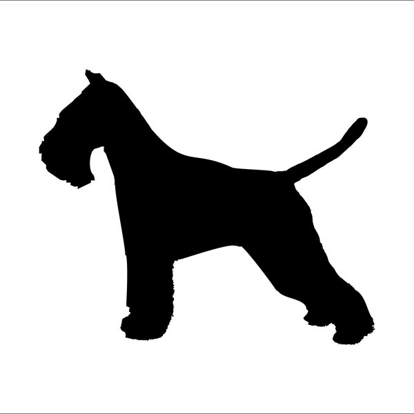 Car Show Window Cards - Etsy