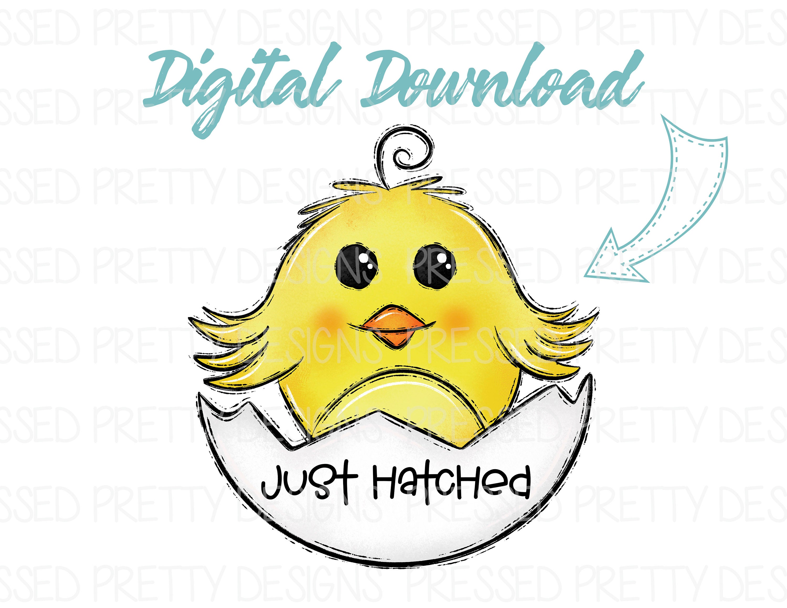 Just Hatched PNG, Easter Sublimation PNG, Boys Baby Chick Design, Kids ...