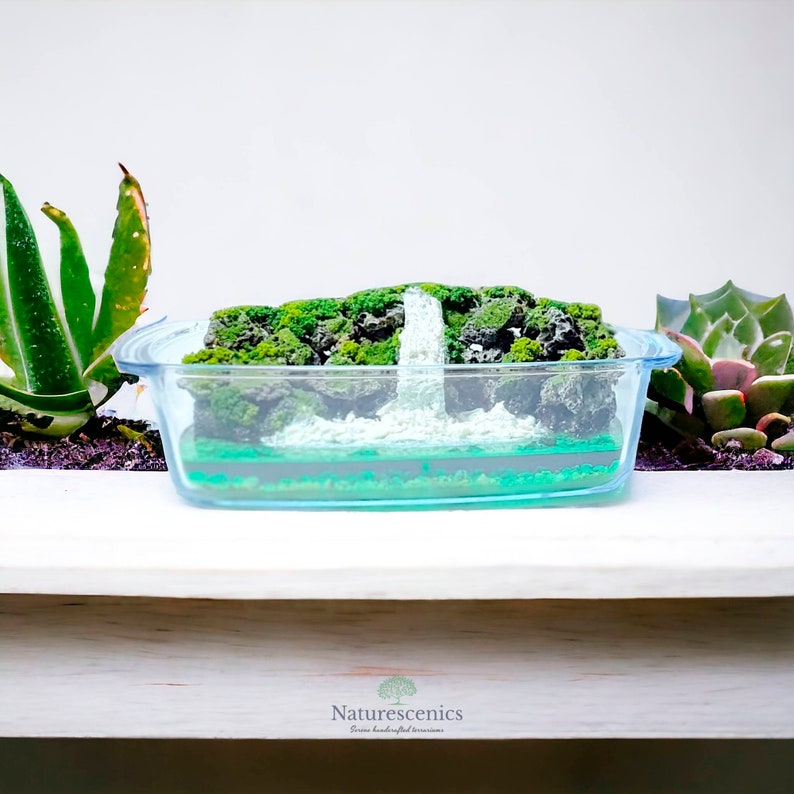Waterfall Terrarium, Glass Dish, Glass Terrarium, Miniature Waterfall ...