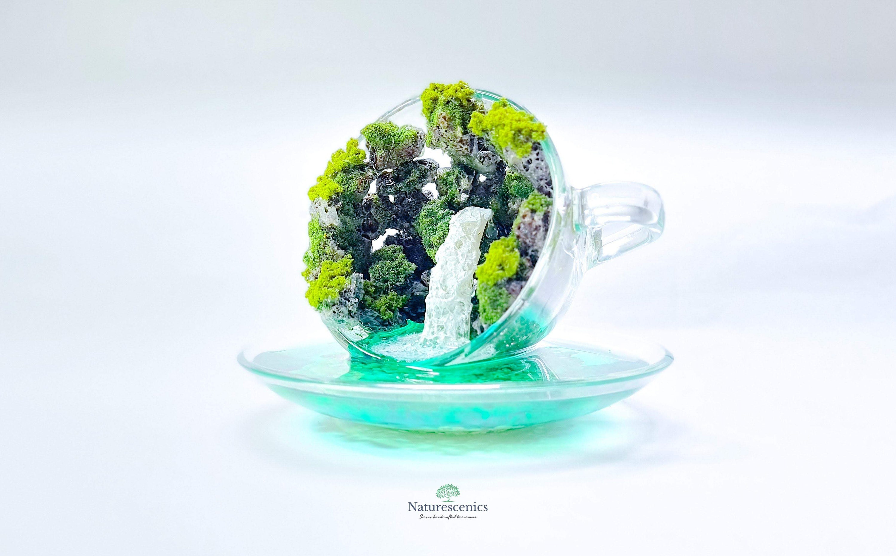 Glass Tea Cup, Waterfall Terrarium, Glass Terrarium Moss, Resin Art ...