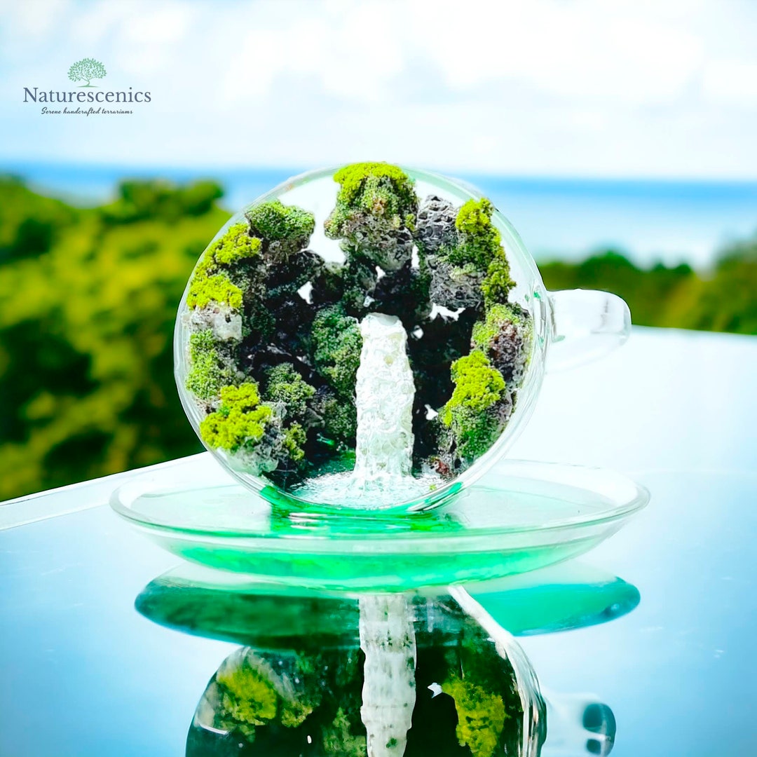 Glass Tea Cup, Waterfall Terrarium, Glass Terrarium Moss, Resin Art ...