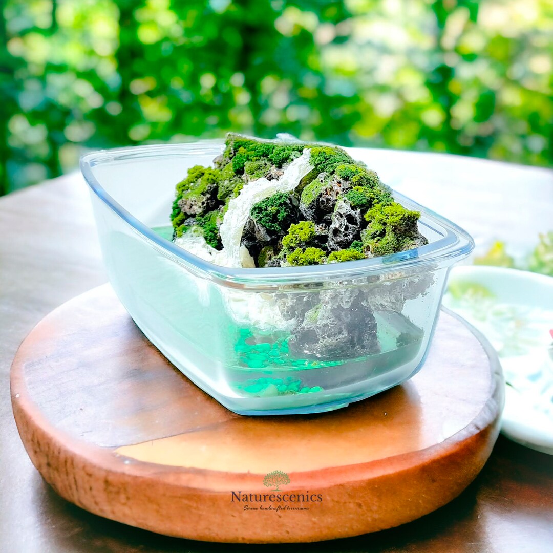 Waterfall Terrarium, Glass Dish, Glass Terrarium, Miniature Waterfall ...