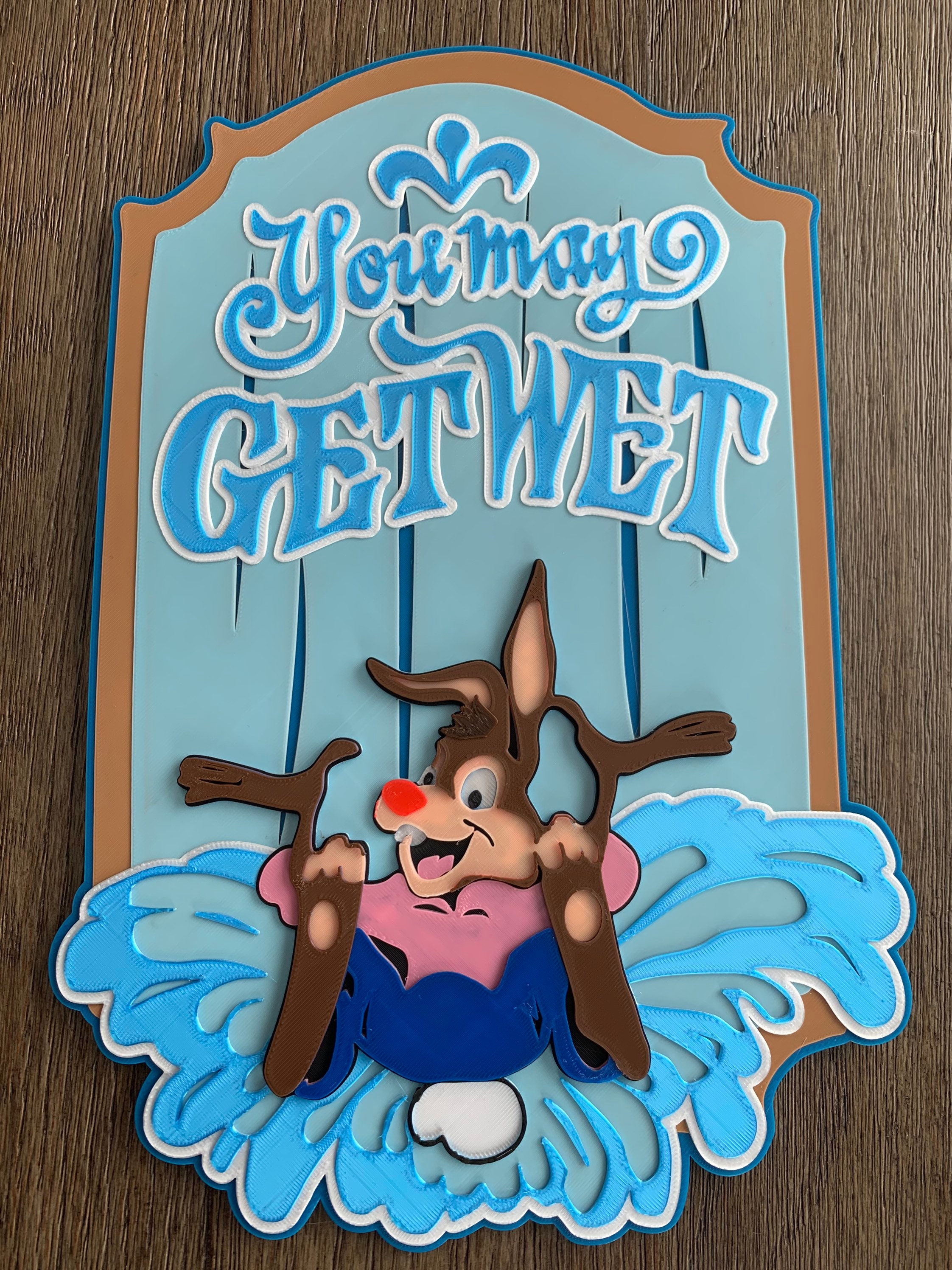 Splash Mountain You May Get Wet Sign | Etsy Canada