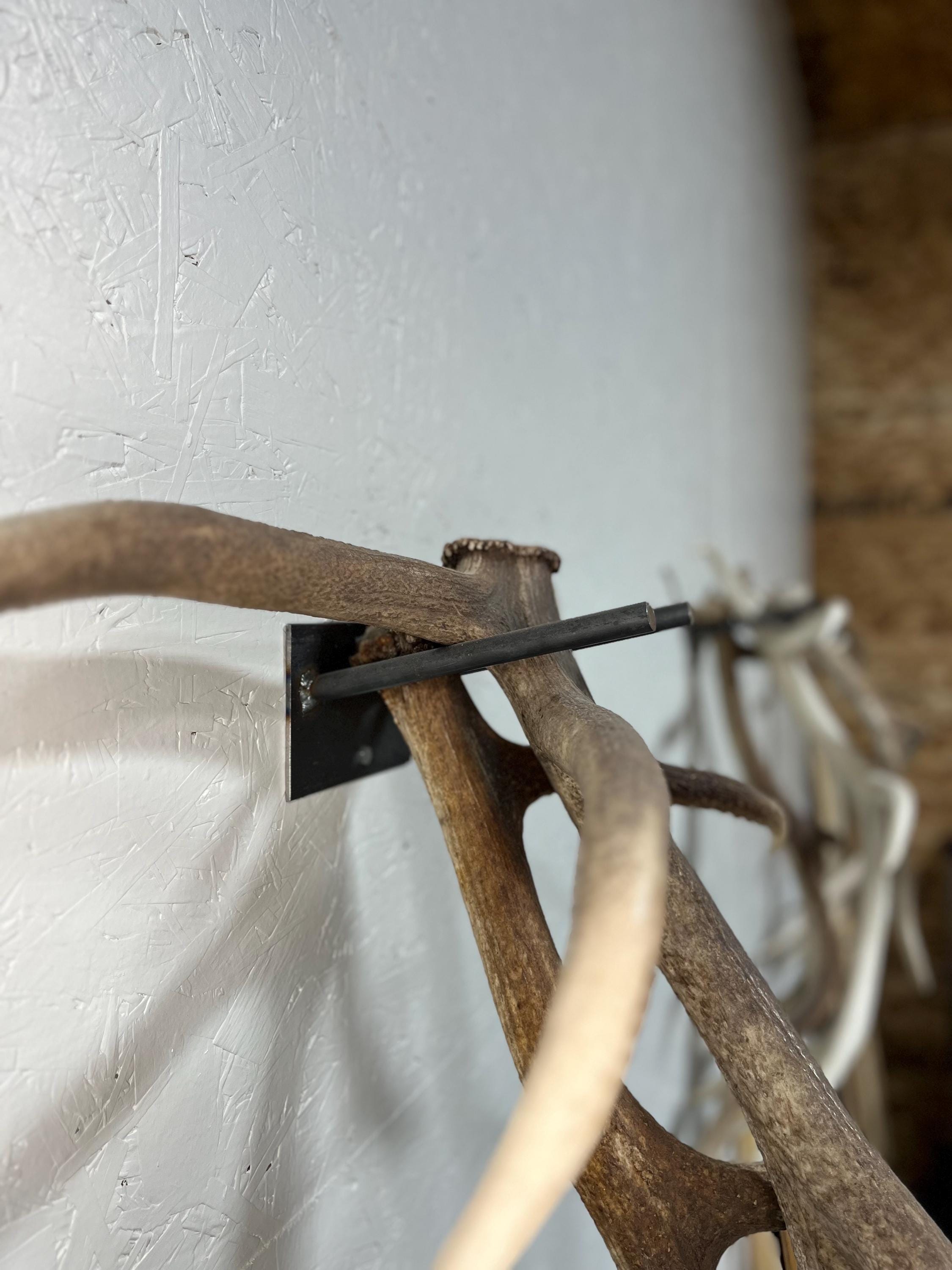 Elk Shed Antler Display Rack - Etsy