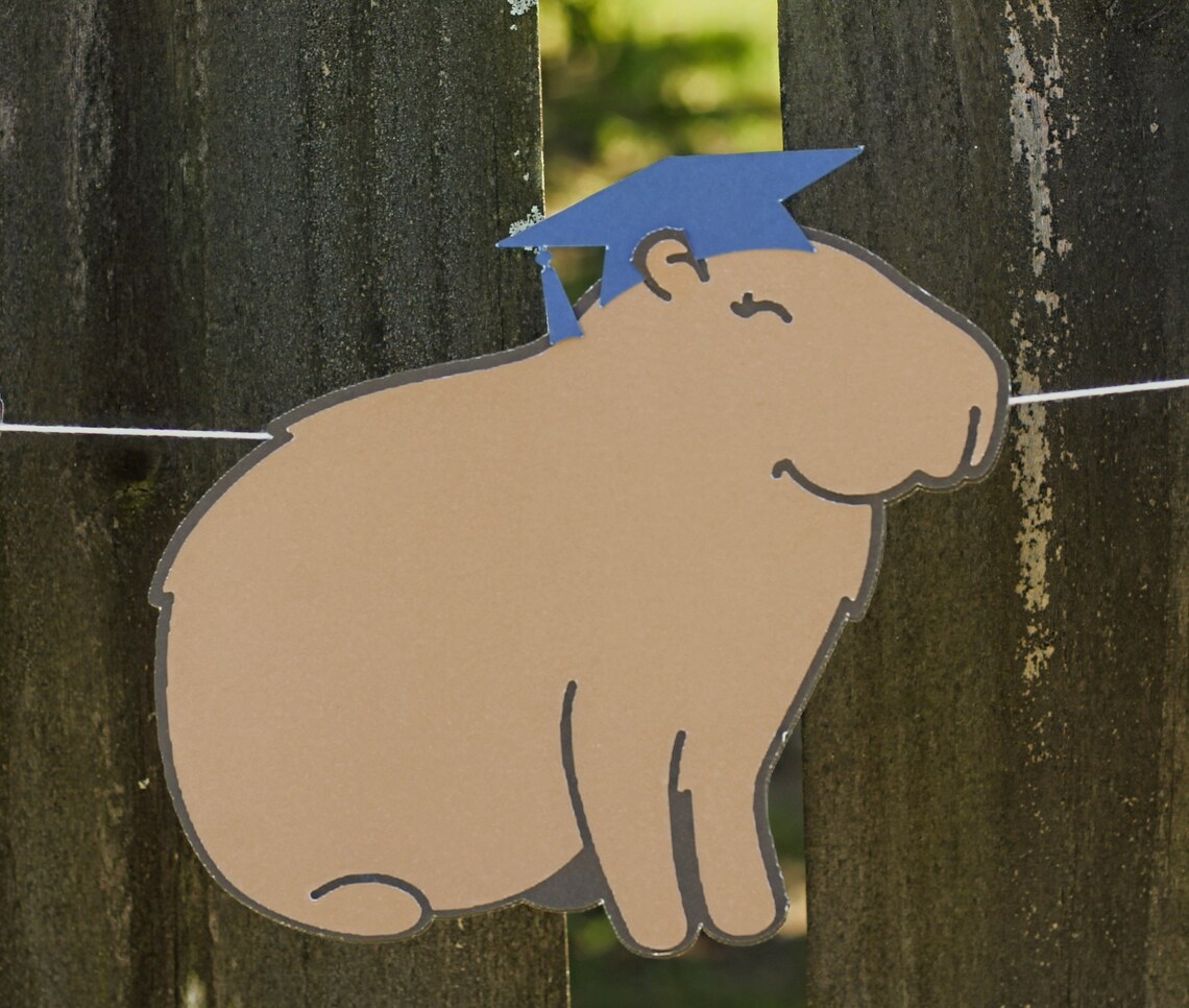 Capybara Graduation Banner - Etsy