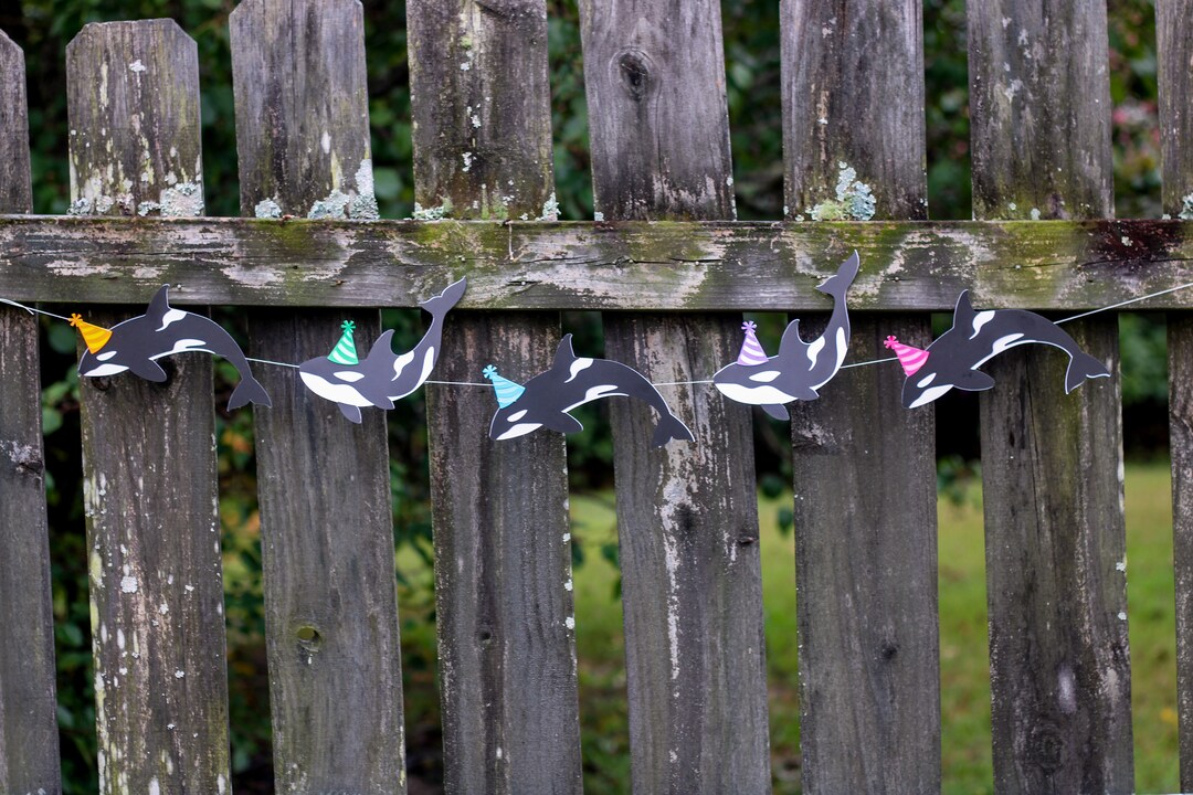 Orca Party Banner - Etsy