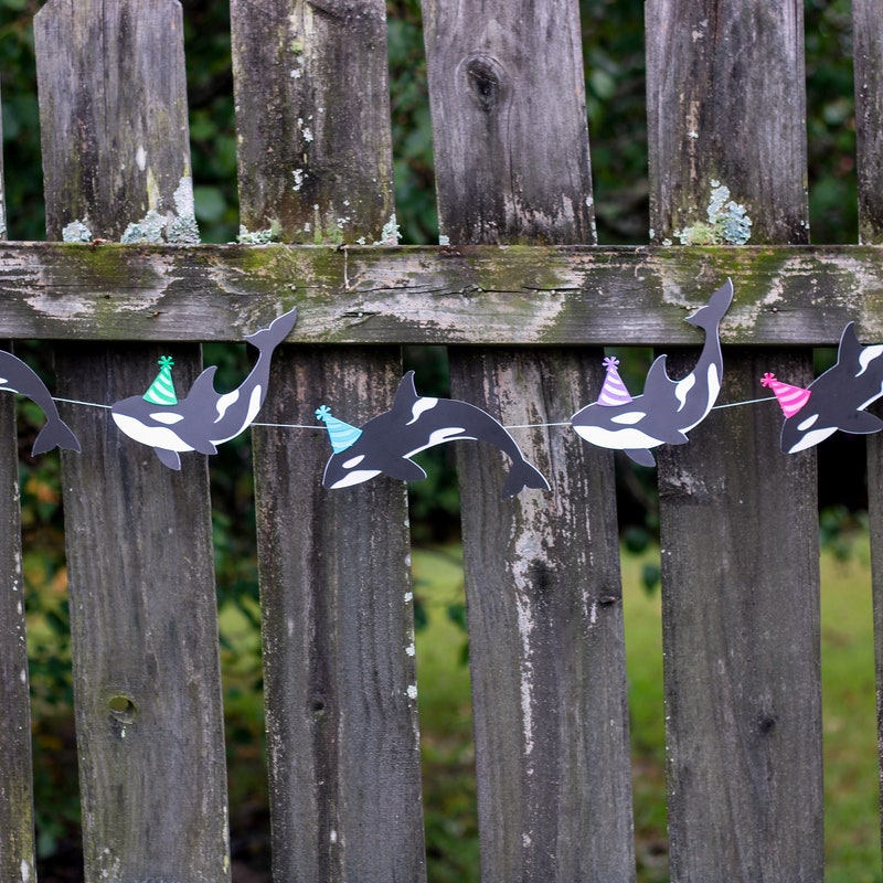 Orca Decor - Etsy