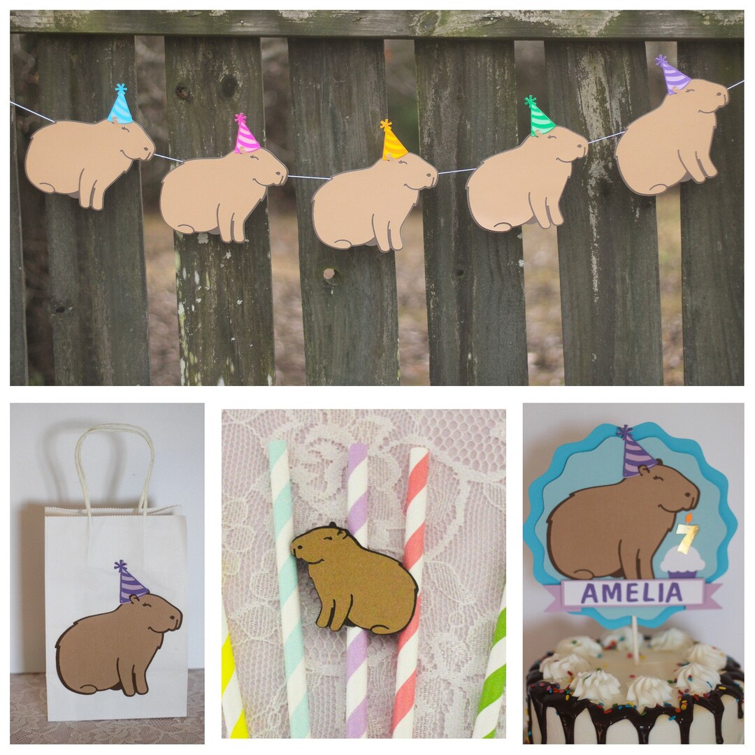 Capybara Party Kit With Caketopper - Etsy