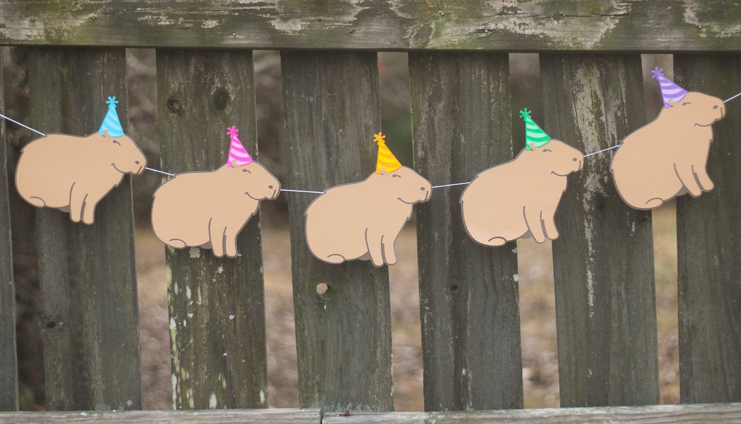 Capybara Party Banner - Etsy