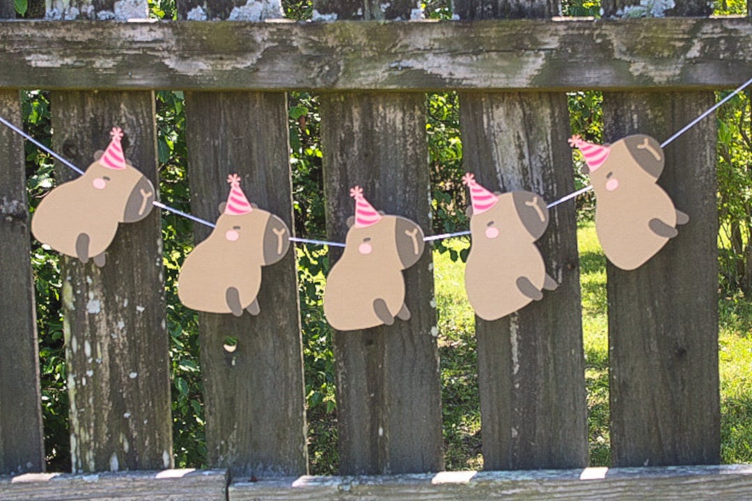 Kawaii Capybara Party Banner - Etsy