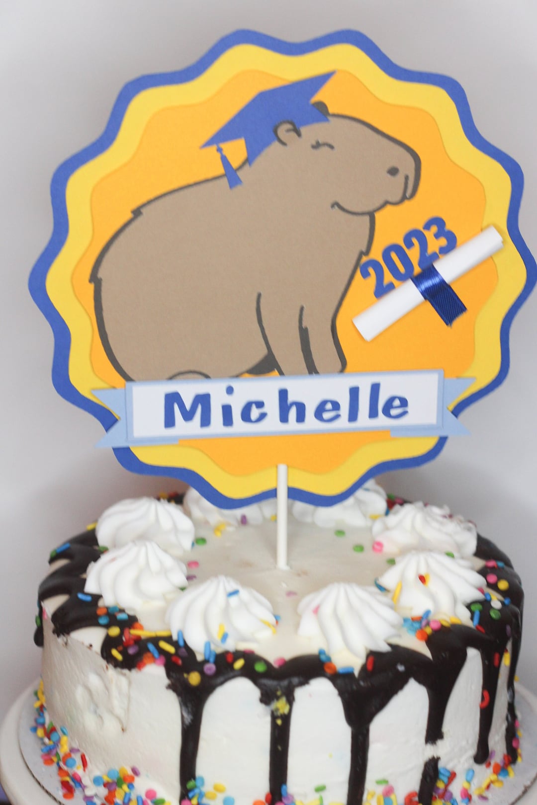 Capybara Personalized Graduation Cake Topper - Etsy