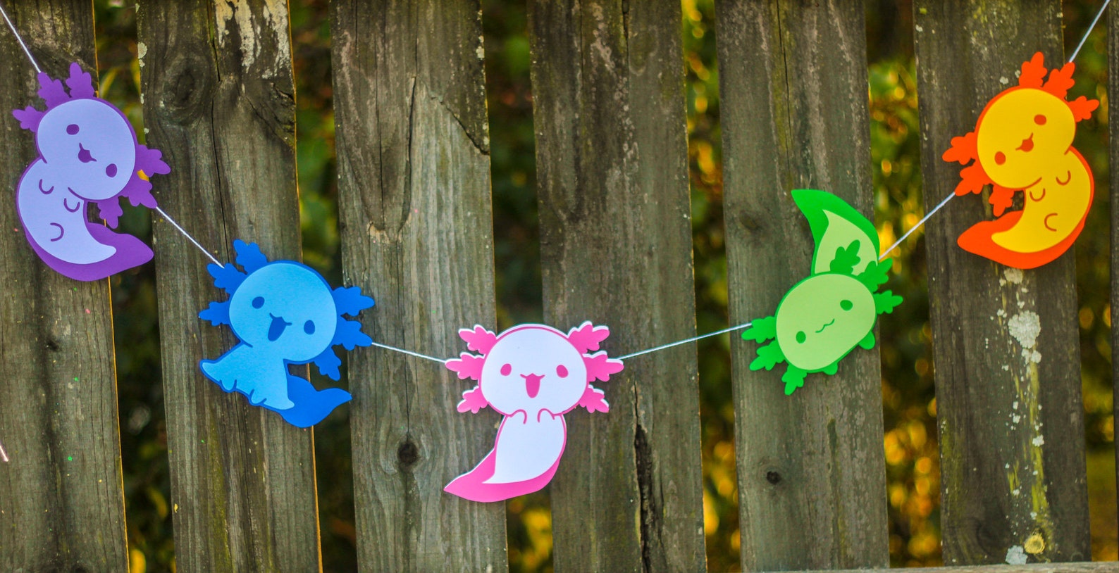 Cute Axolotl Banner - Etsy