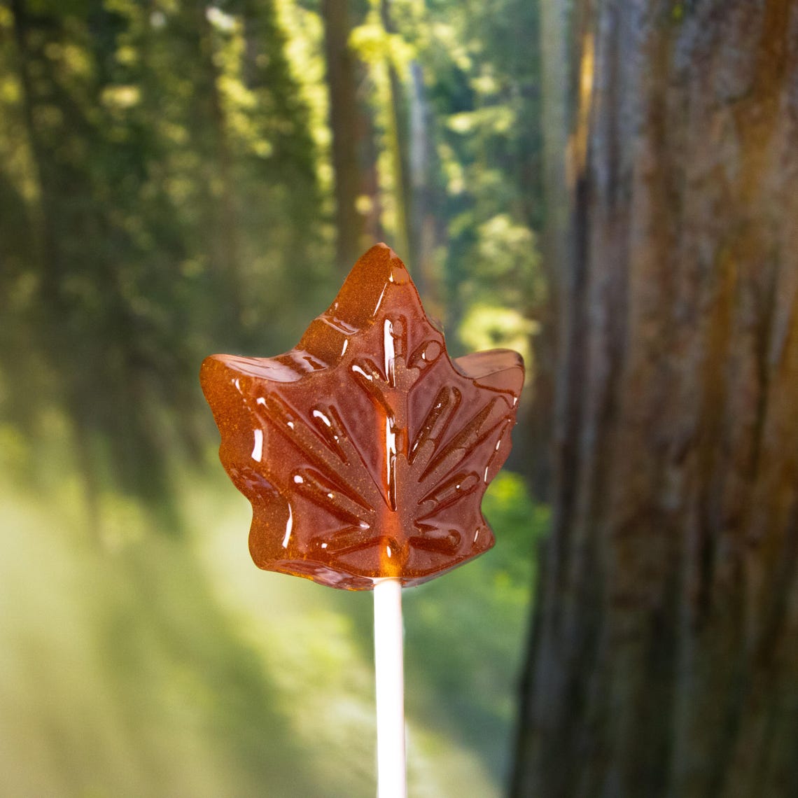 Organic Maple Syrup Lollipops | Handcrafted Hard Candy | Natural ...