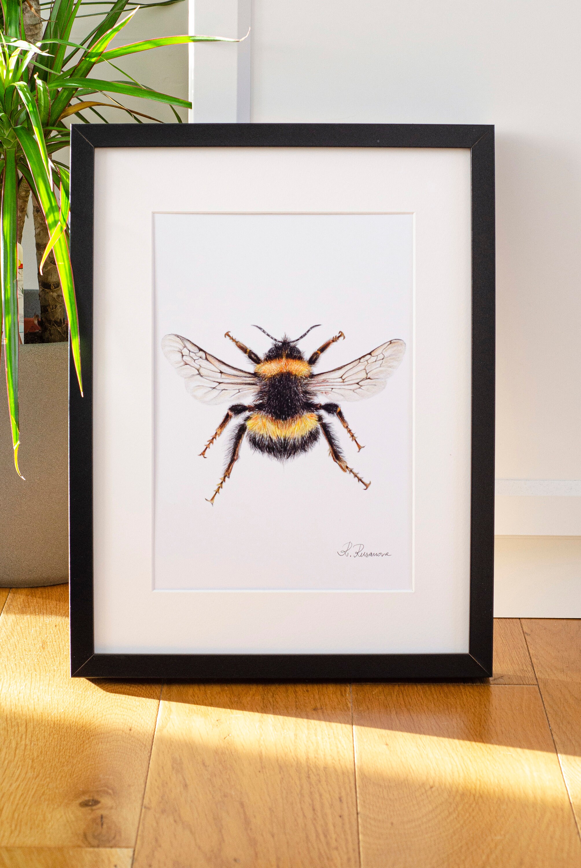 Bumble Bee Art Print - Vibrant Coloured Pencil Drawing - Insect ...