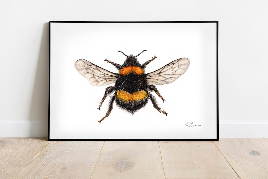 Bumble Bee Art Print - Vibrant Watercolour Painting - Insect ...