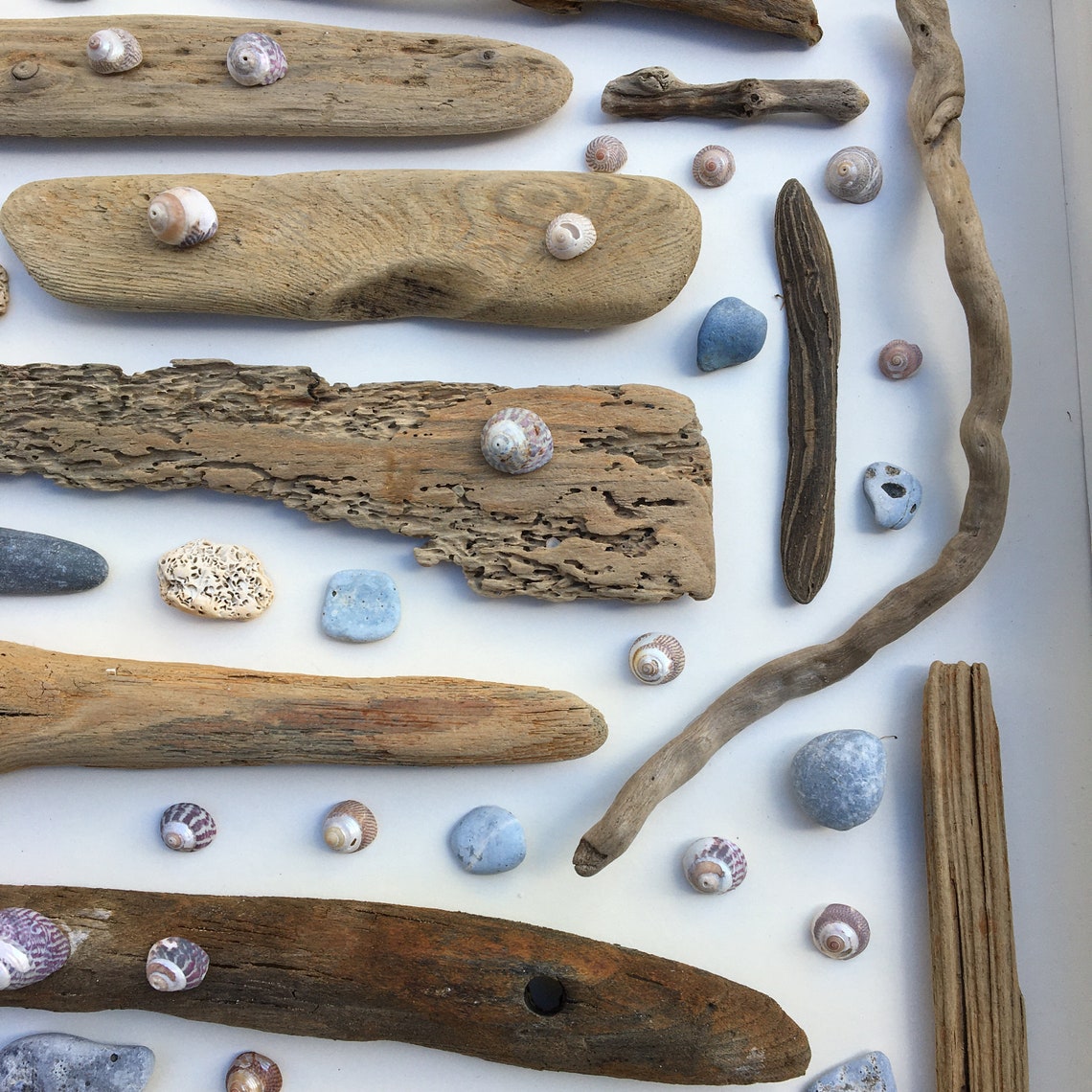 Driftwood and Shell Art 46cm X 46cm Framed Coastal Art - Etsy