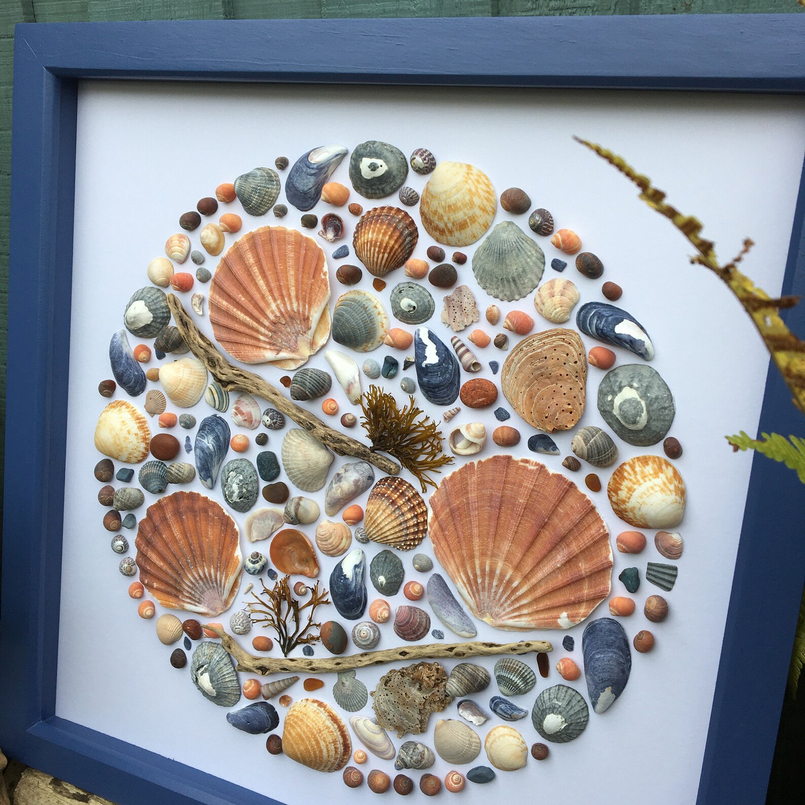 Rockpool Coastal Art: UK Seashell & Driftwood Wall Decor - Etsy