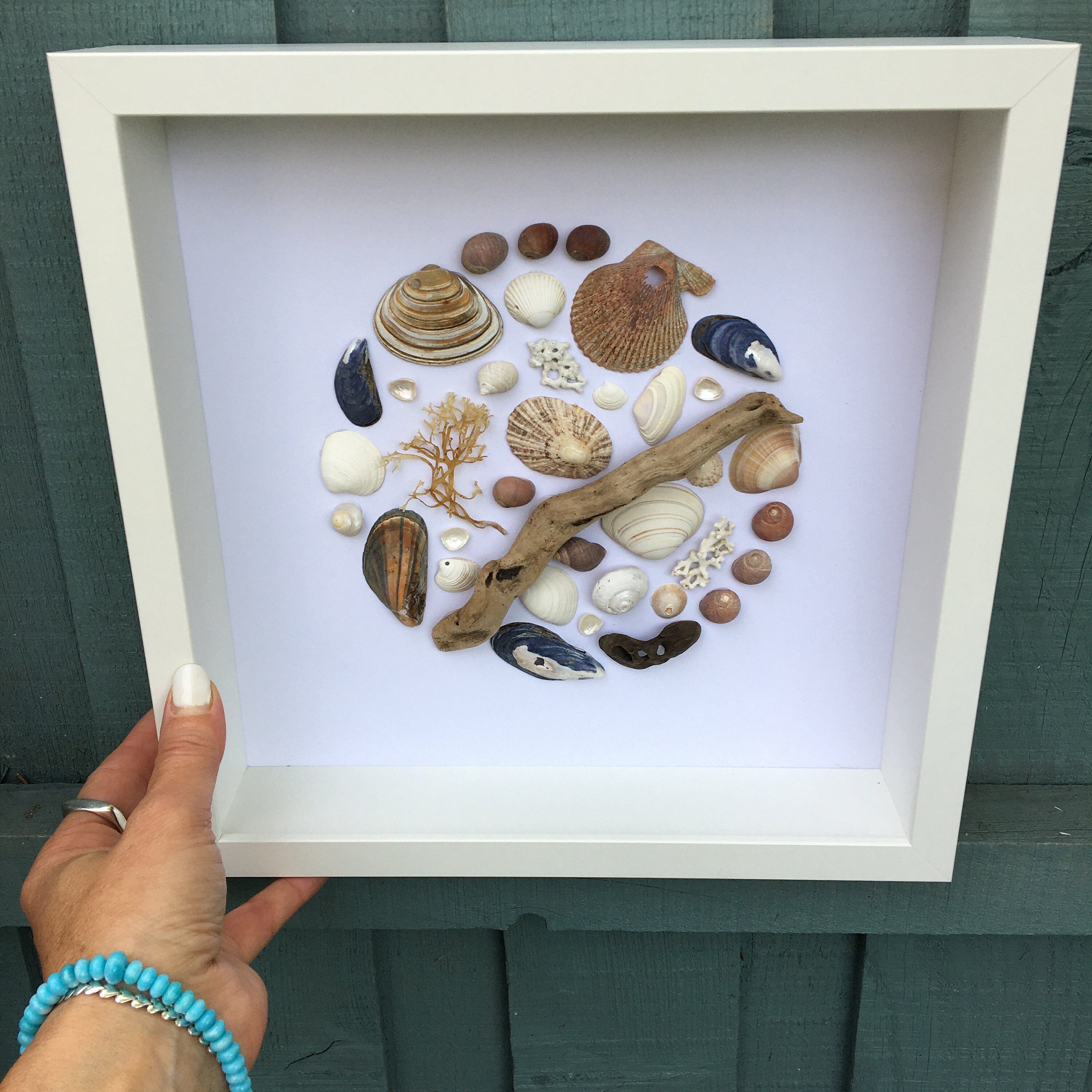 Shell Picture Rock Pool in Natural Colours Scottish Shells - Etsy UK
