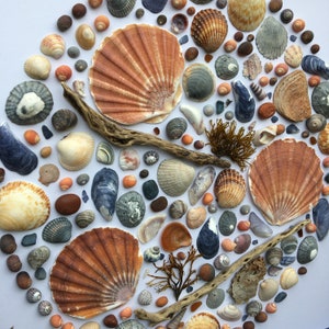Rockpool - A Celebration of the UK Coast, Coastal Art, Coastal Wall ...