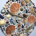 Rockpool A Celebration of the UK Coast, Coastal Art, Coastal Wall Decor ...
